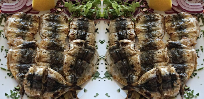 ΣΑΡΔΕΛΕΣ ΓΕΜΙΣΤΕΣ ΣΤΑ ΚΑΡΒΟΥΝΑ - Meat & Grill Stories
